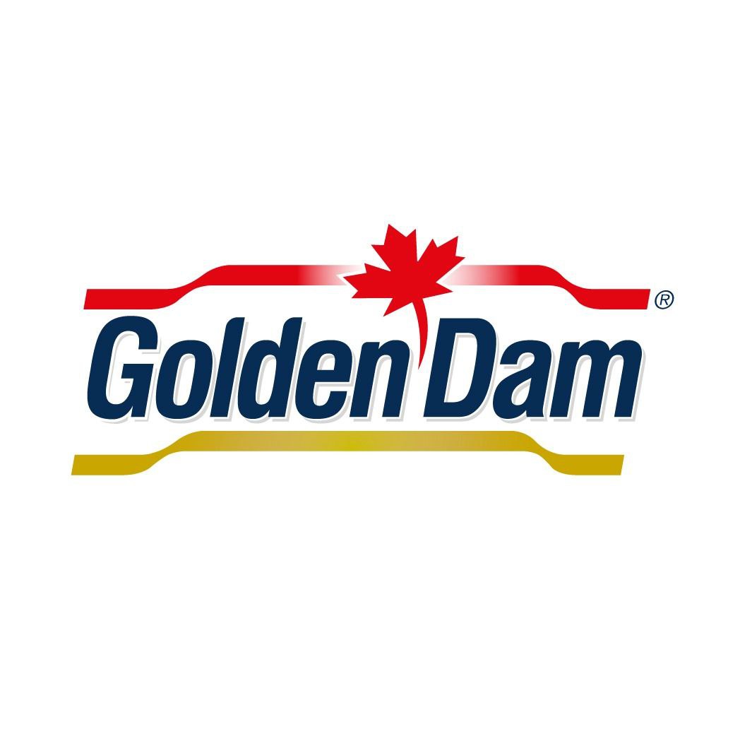 Accueil - Goldendam